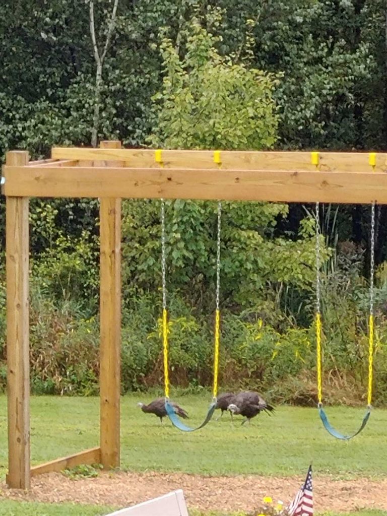 Building Playground – Lumber City RV Park